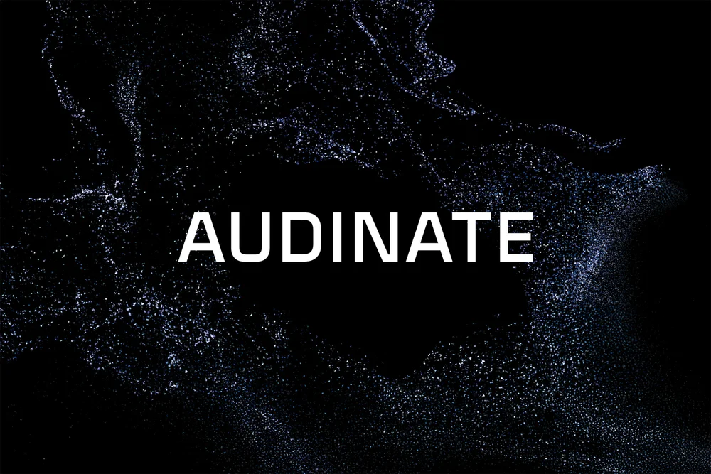 Bedow – Audinate brand strategy and design