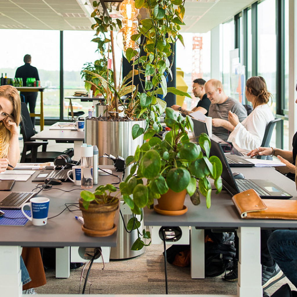 Workplace Vitality Hub