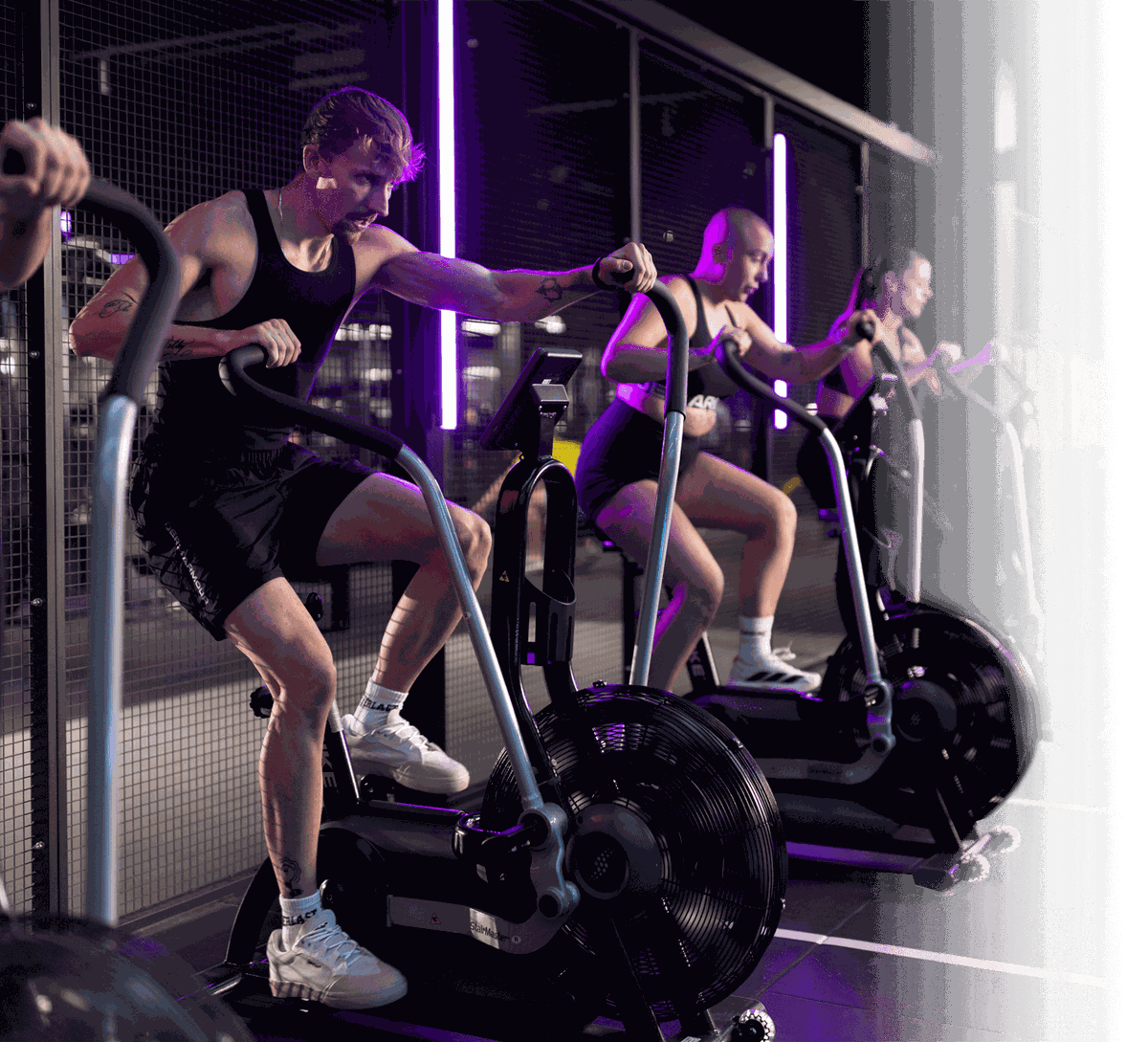 Everlast Gyms | Join Online Now | Gyms Near Me