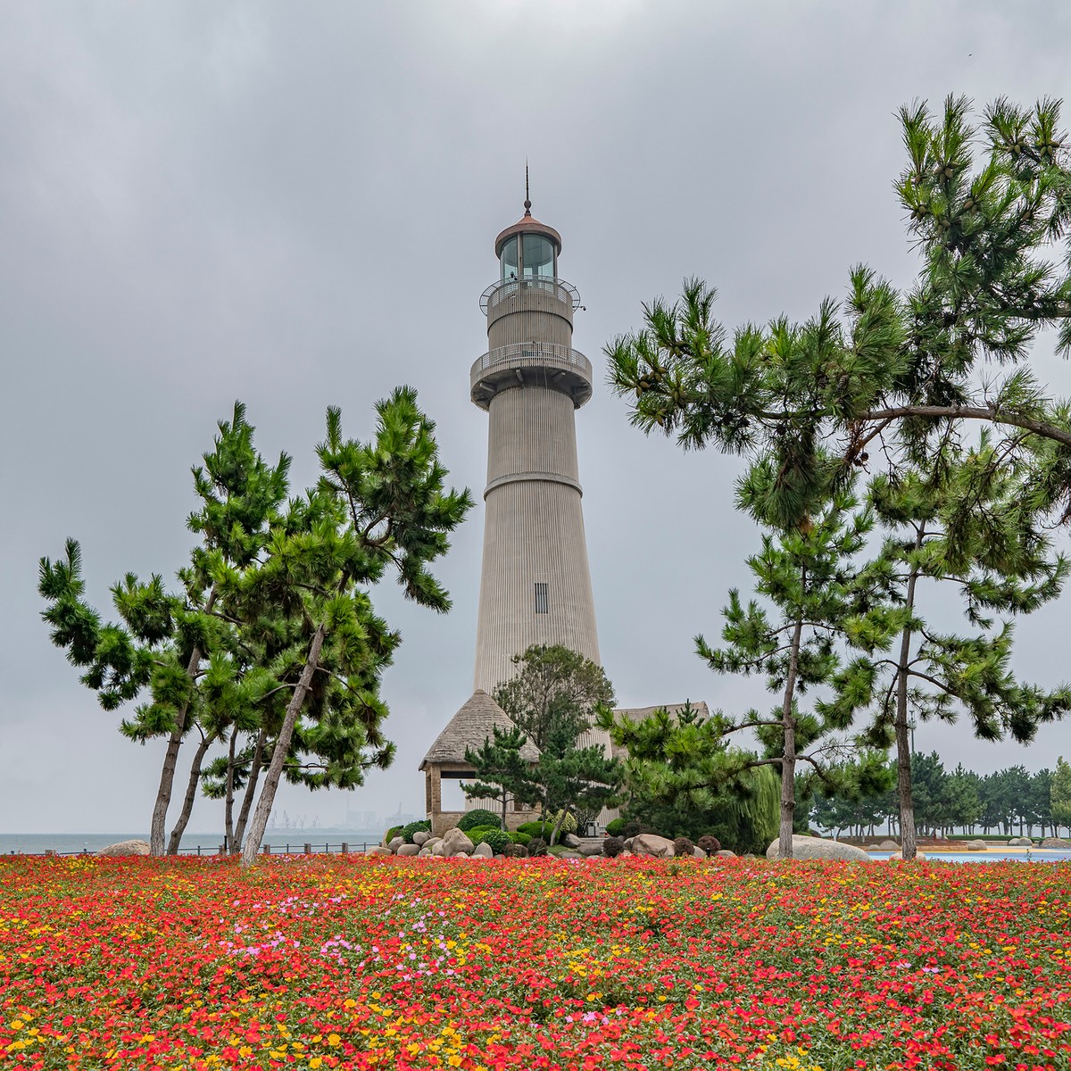 Explore Weihai