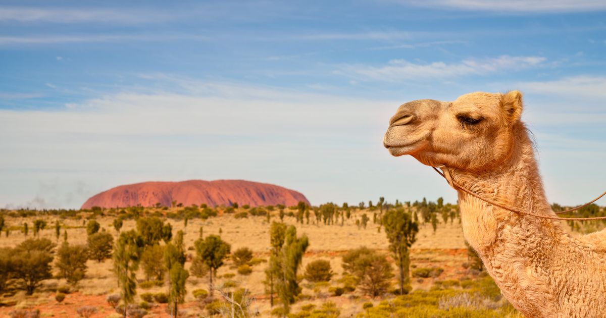 10 must-photograph locations in the NT