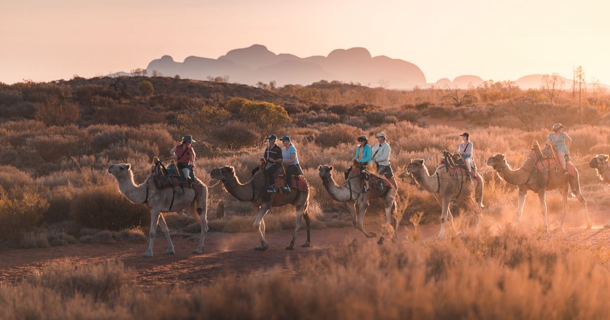 Camel riding at Uluru | Northern Territory, Australia