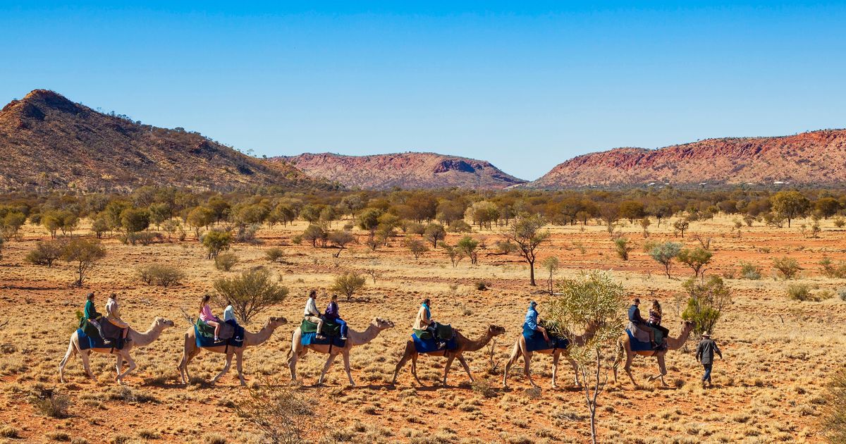Alice Springs family & kids activities | Northern Territory, Australia