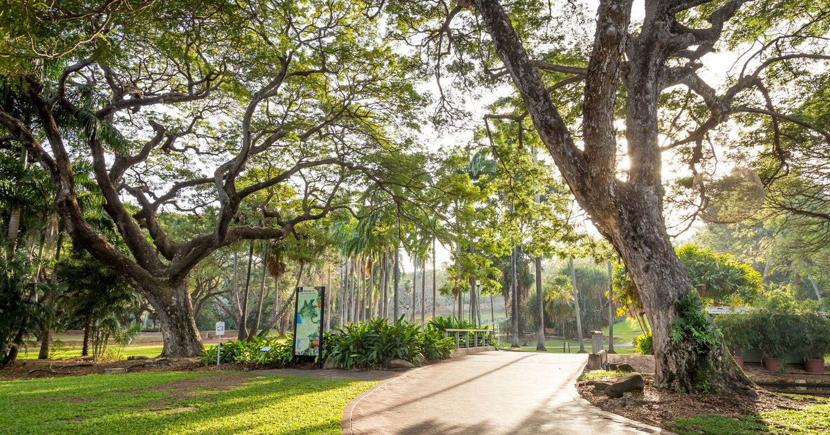 Darwin wildlife & nature in 1 day