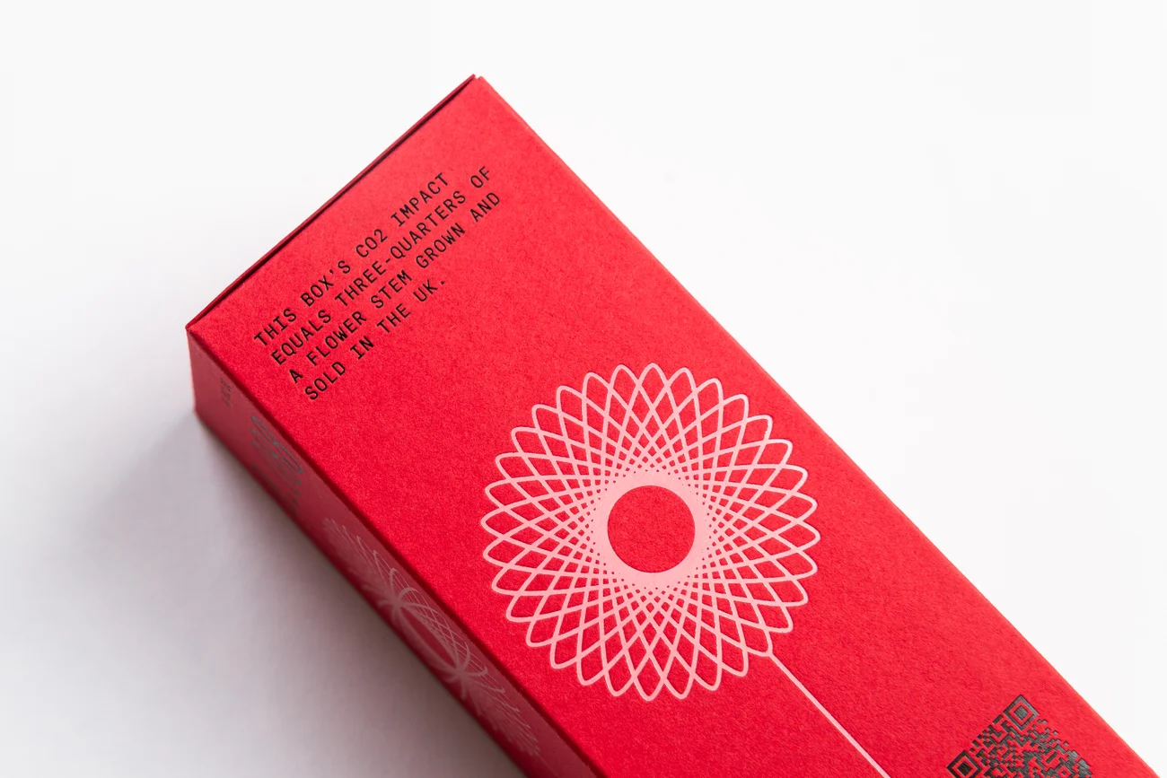Bedow – GBGT Box packaging design