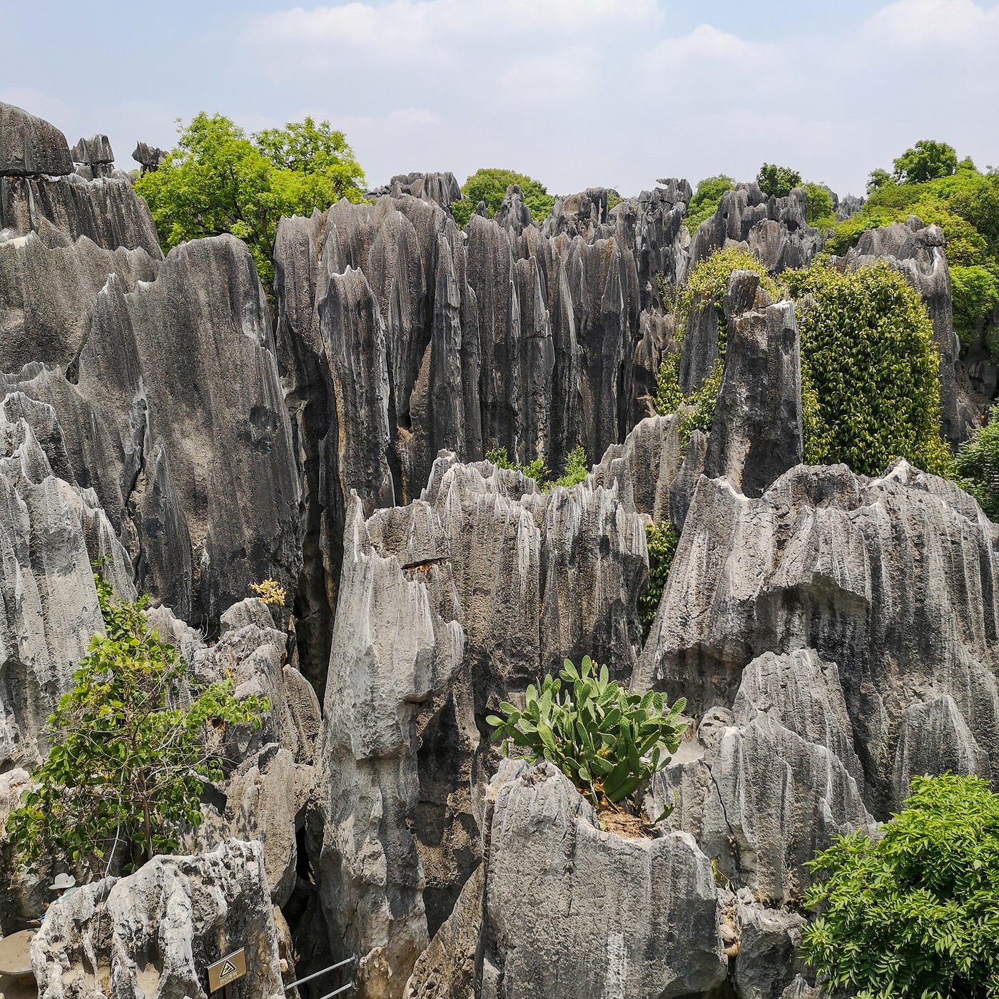 Teach English in Kunming