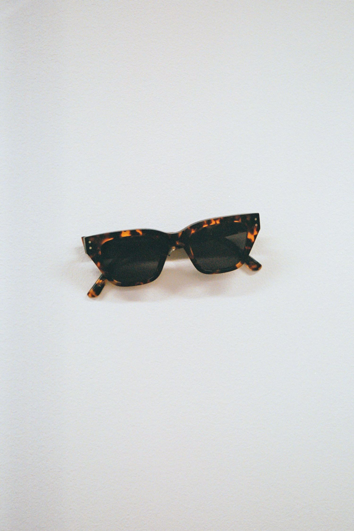Memphis Havana - Monokel Eyewear – Monokel Eyewear