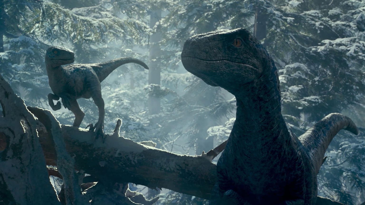 Animation | Escape Studios - Animation, Games and VFX