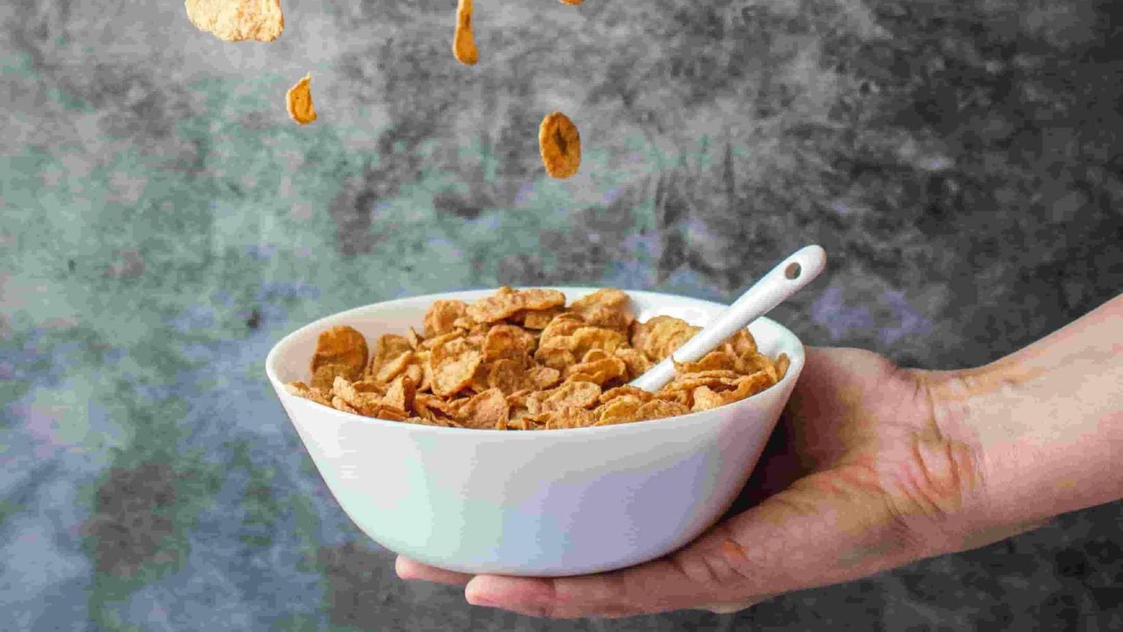 BNF warns against focusing solely on UPF classification | Alpro Foundation