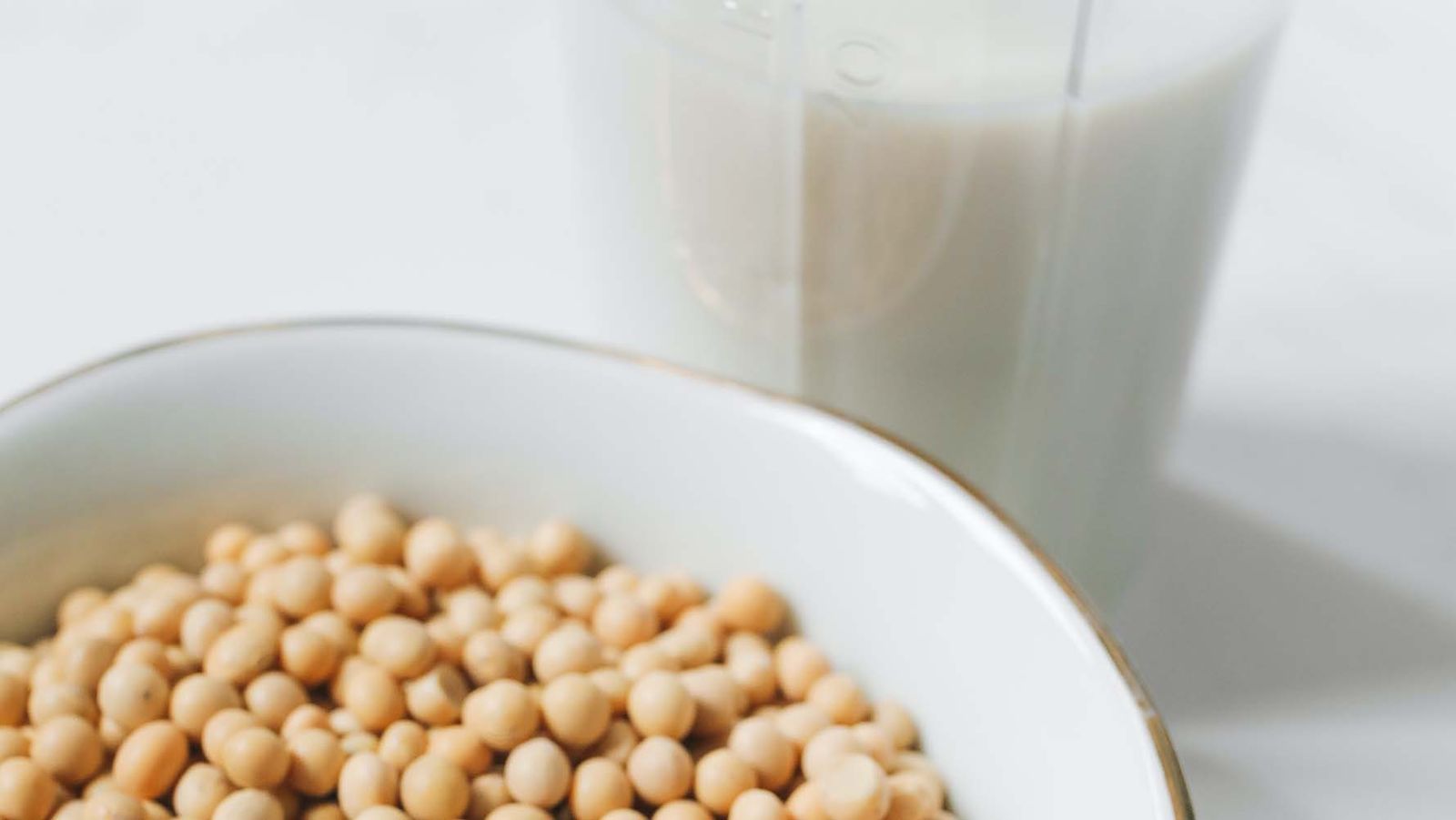 Comparing appetite control and satiety effects for soya and meat-based ...