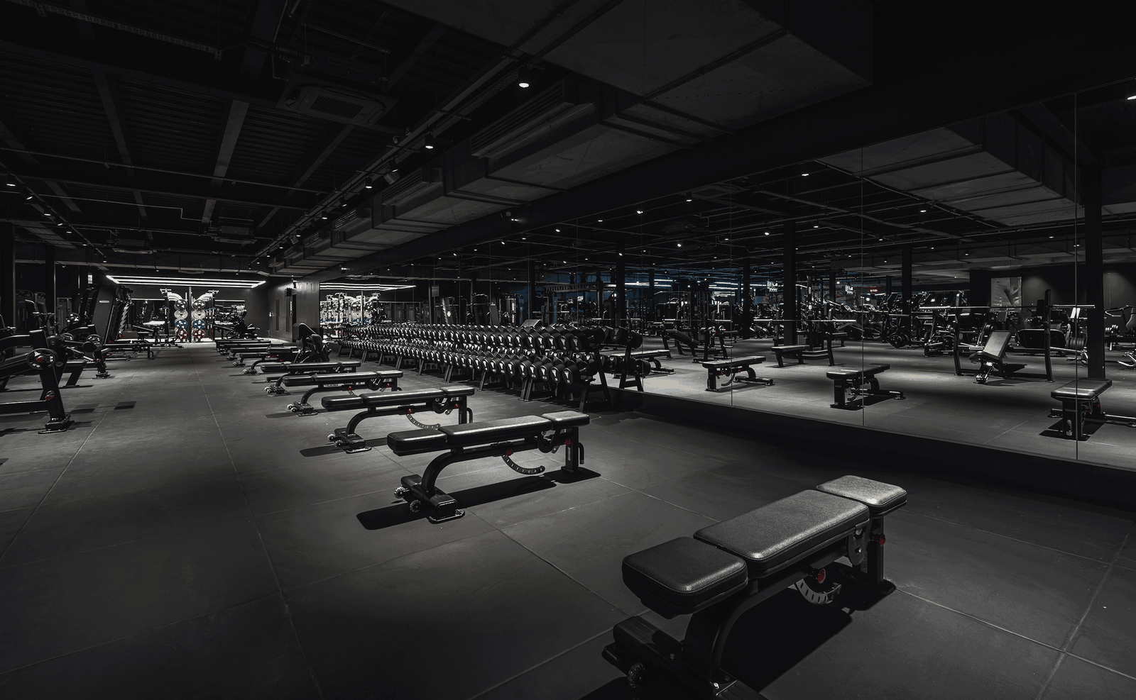 Best Gyms in Burton Upon Trent | Join Online Now | Everlast Gyms