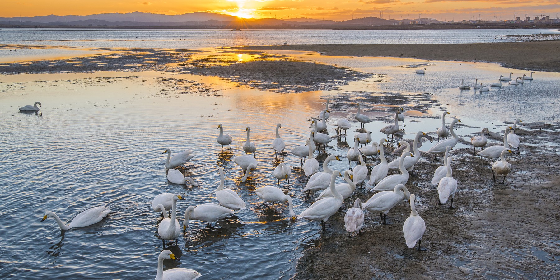Explore Weihai