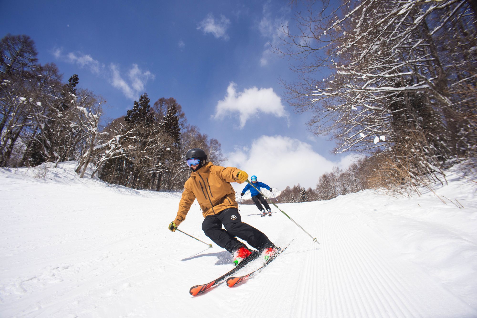 Myoko Premium Ski & Snowboard Lessons - Canyons