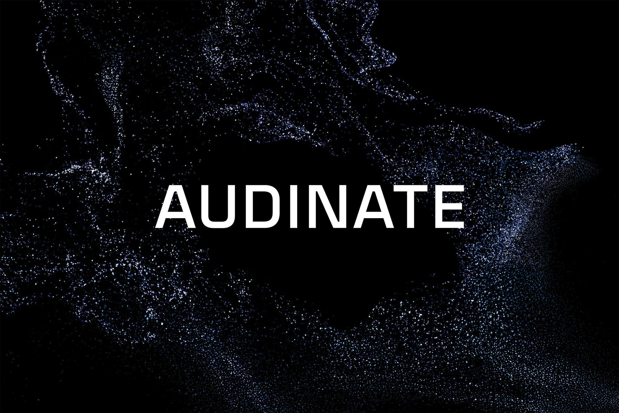 Bedow – Audinate brand strategy and design