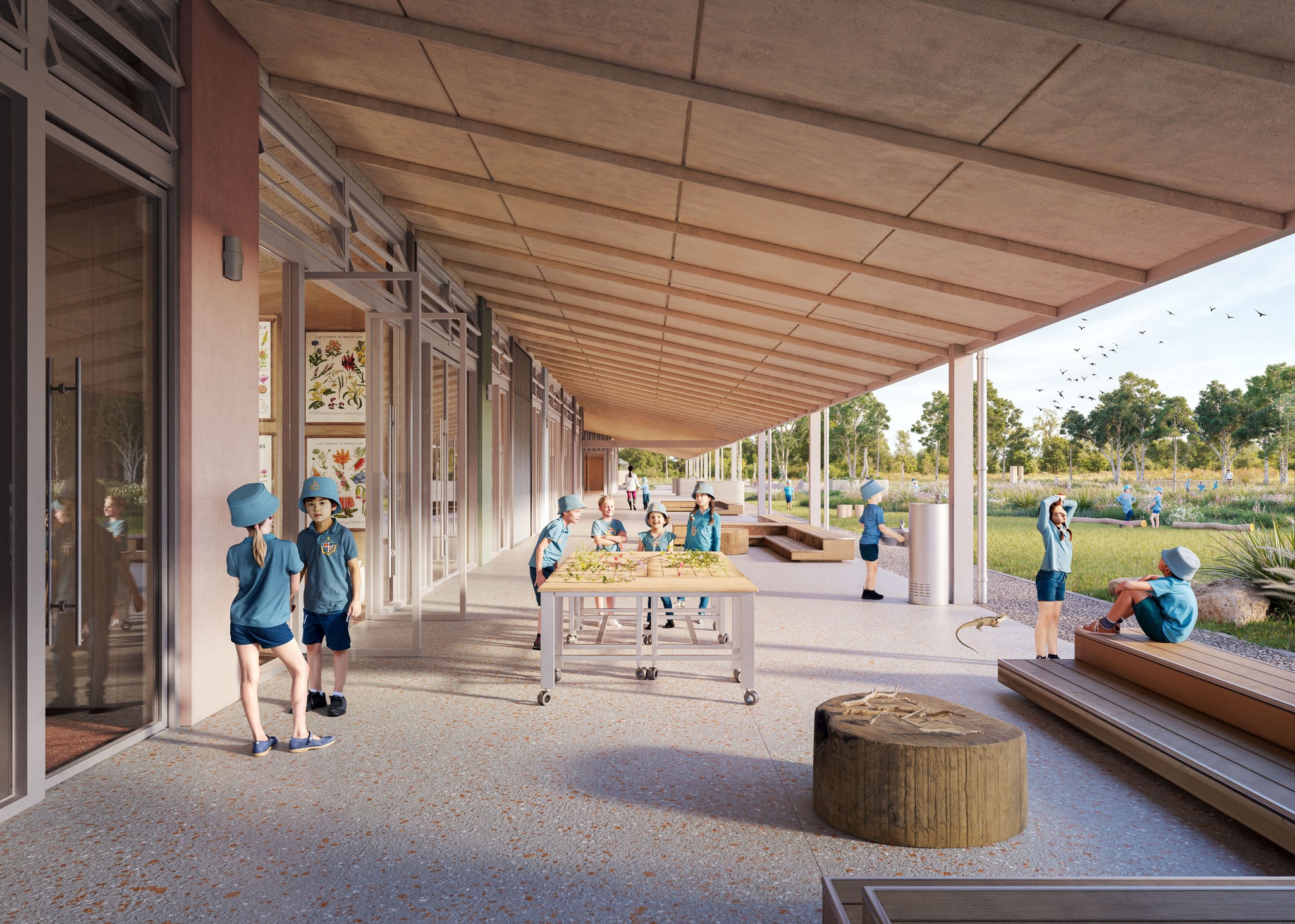 Geelong Grammar Primary | Architecture AND