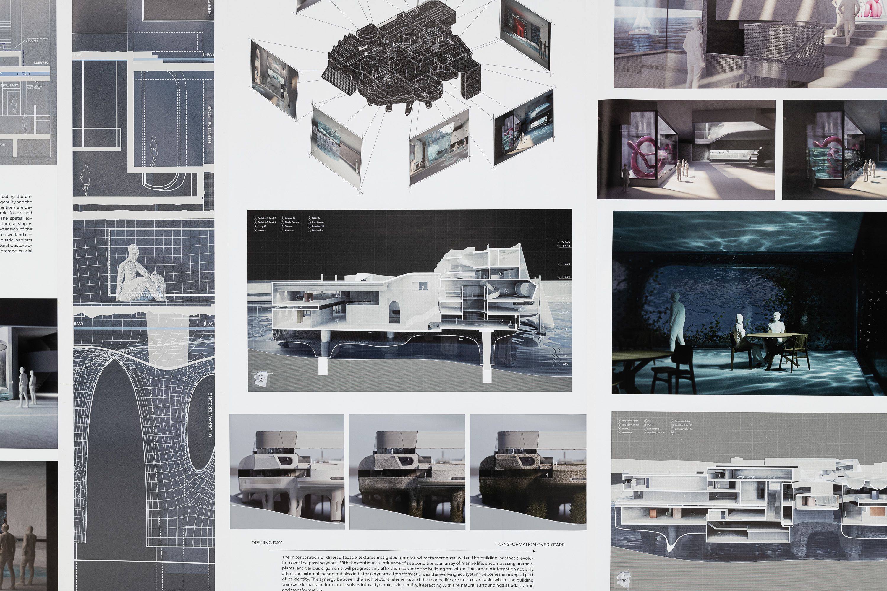 'AAA Janna Eberharter, Fluid Transitions – Embracing the Dynamic ...