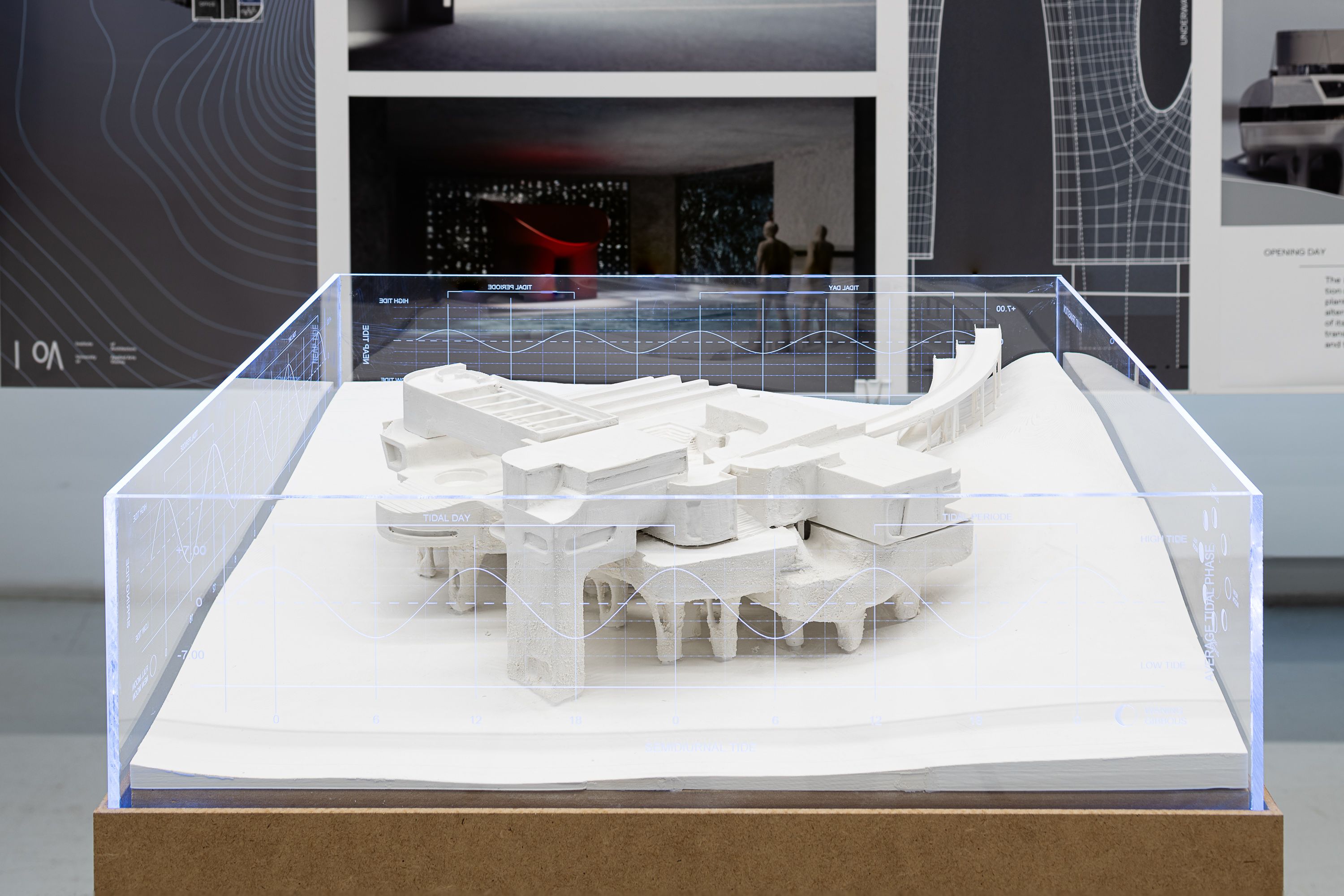 'AAA Janna Eberharter, Fluid Transitions – Embracing the Dynamic ...