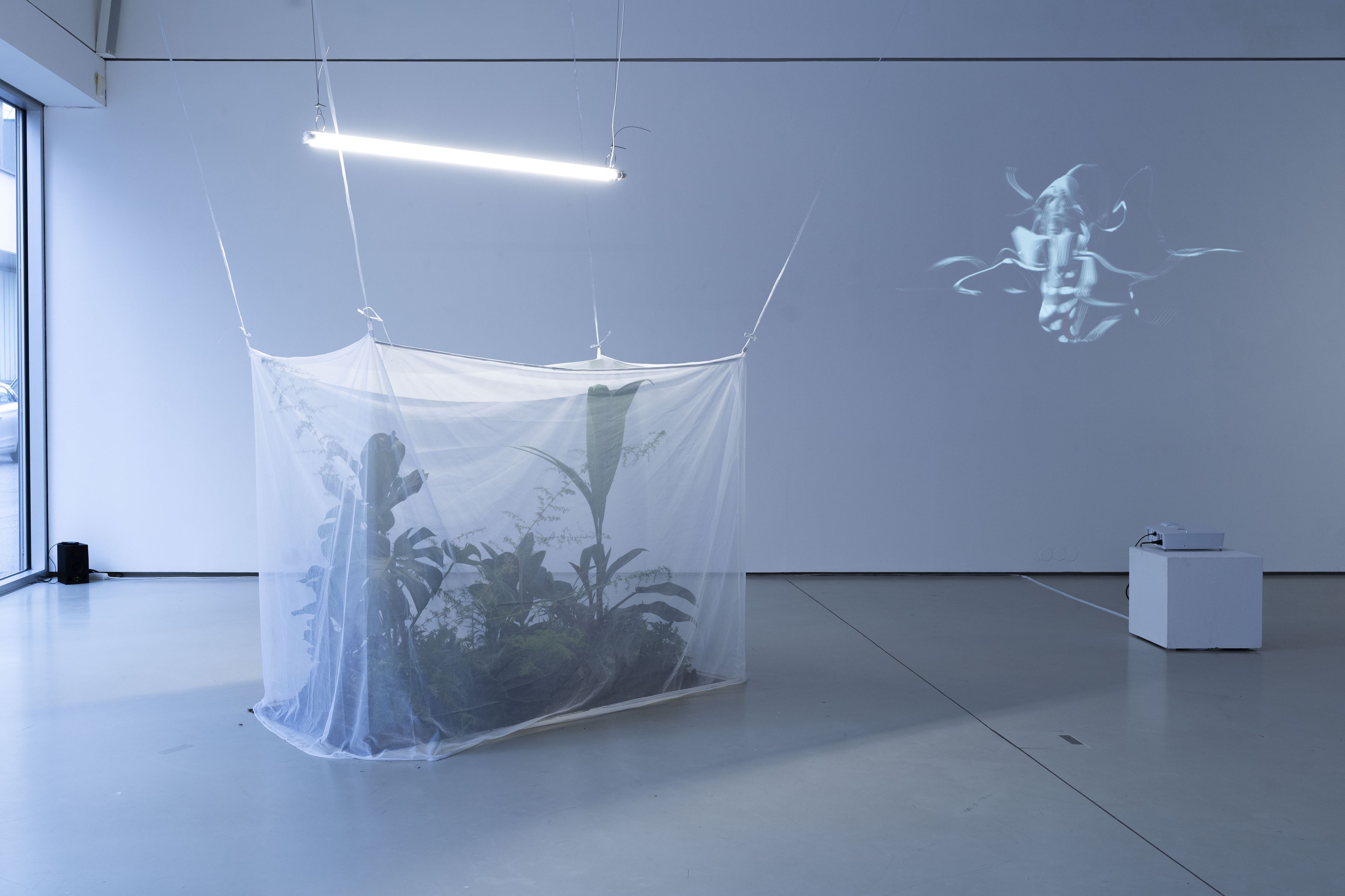 Alumni in Residence: Suchart Wannaset | AIL