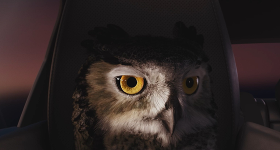 Animals Show Their Appreciation For Design Through Audi's Love Stories