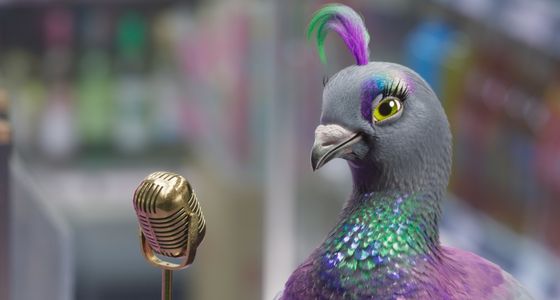 Funky Pigeon Spreads Its Wings with a New Look