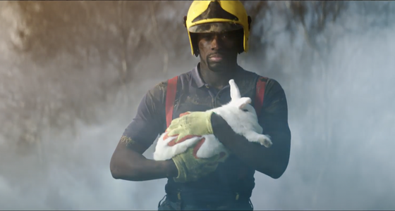 Pets At Home celebrates UK pet lovers in latest campaign