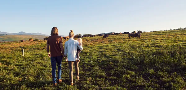 What to know about buying a lifestyle block