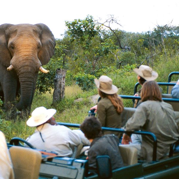 Botswana & Zimbabwe Wildlife Safari | EF Go Ahead Tours