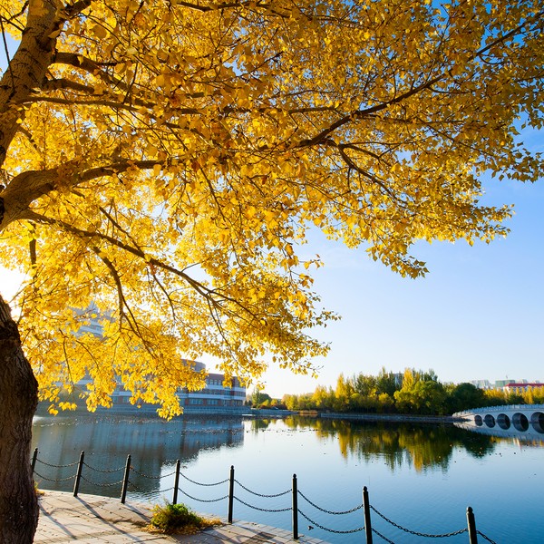 Explore Daqing