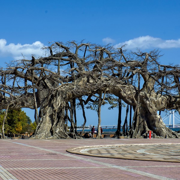 Explore Yantai