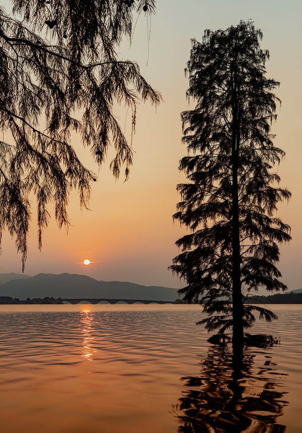Explore Yuyao