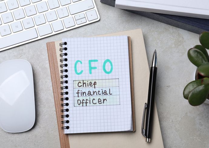 CFO vs CEO | Differences & Similarities | ExpenseIn