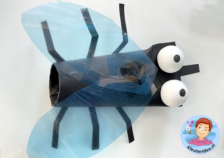 Insecten & kriebelbeestjes | Kleuteridee