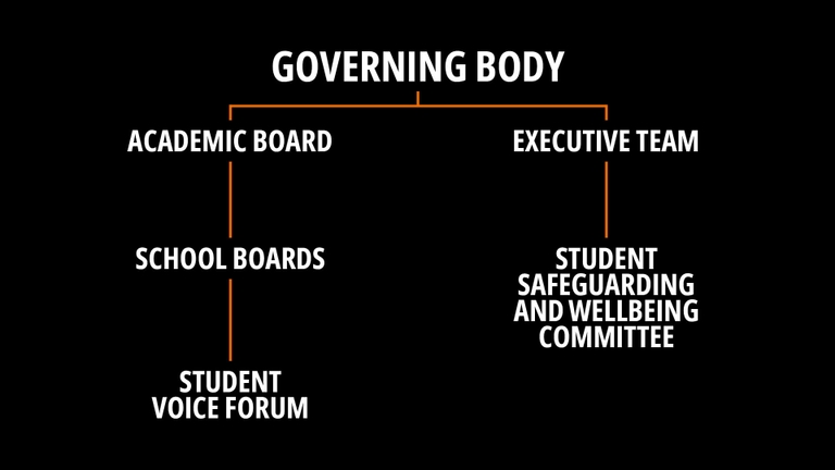 Governance structure | Governance | About us | Escape Studios