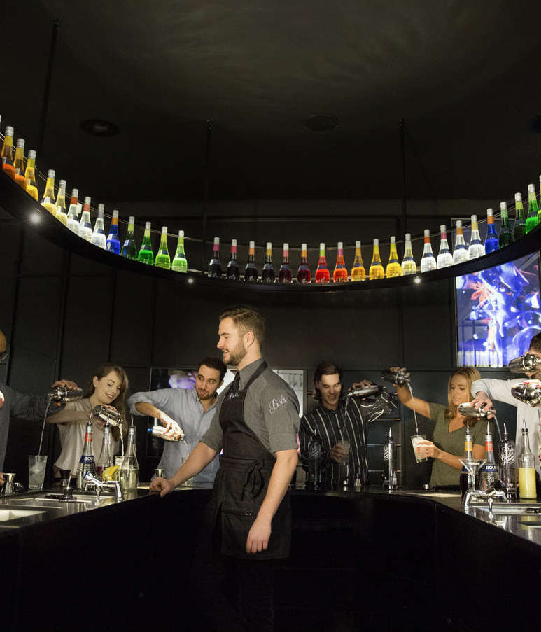 Cocktail Experience | Online Cocktail Workshop | House of Bols Museum