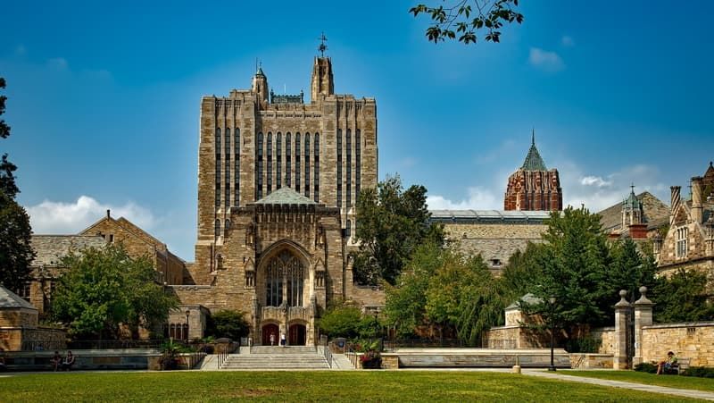 Yale Admits 4.6% of Applicants to the Class of 2029 - Crimson Education US
