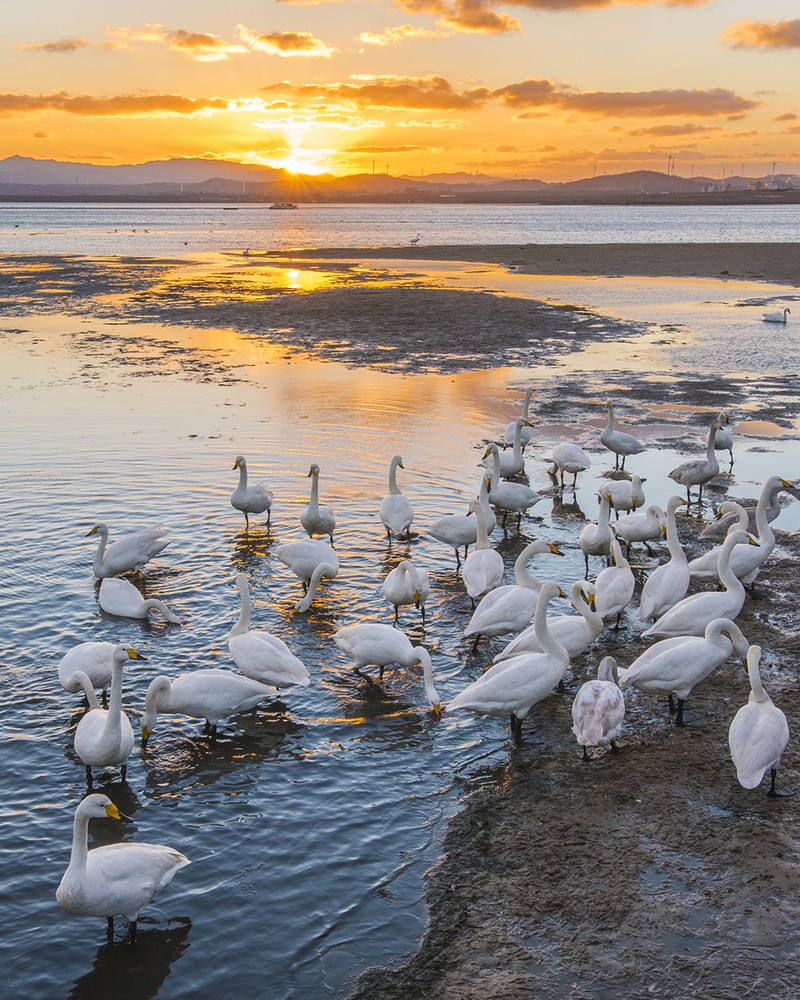 Explore Weihai