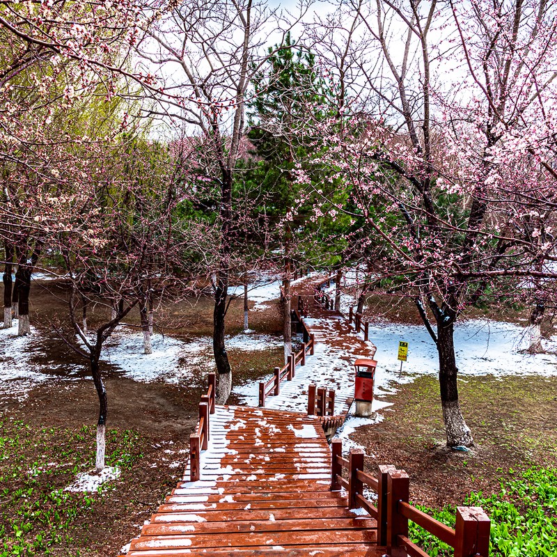 Explore Changchun