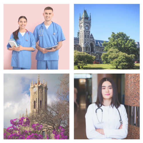 Start Preparing For Med School Early MedView Education NZ Start Preparing For Med School Early MedView Education NZ