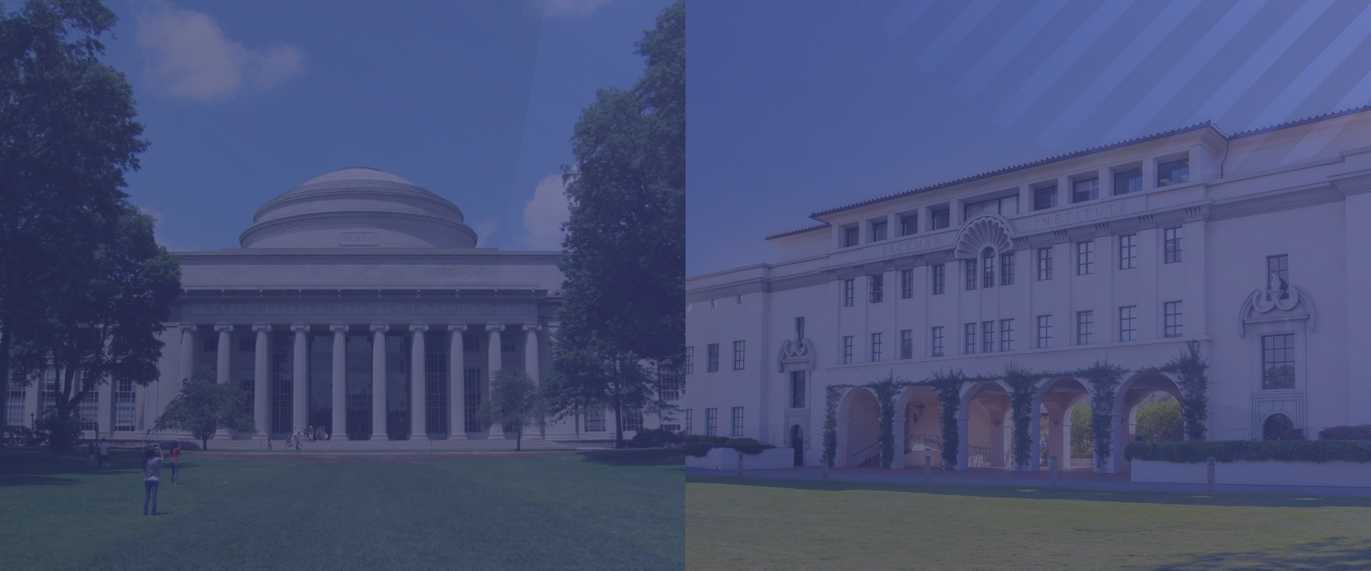 Mit University Wallpaper