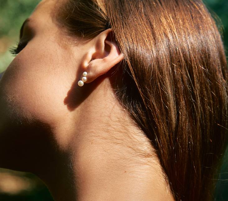 Homepage | Vidal & Vidal
