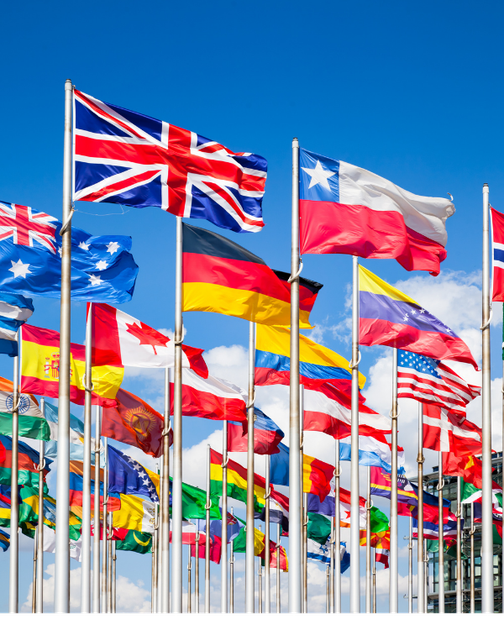AP World History Online Course - Crimson Global Academy