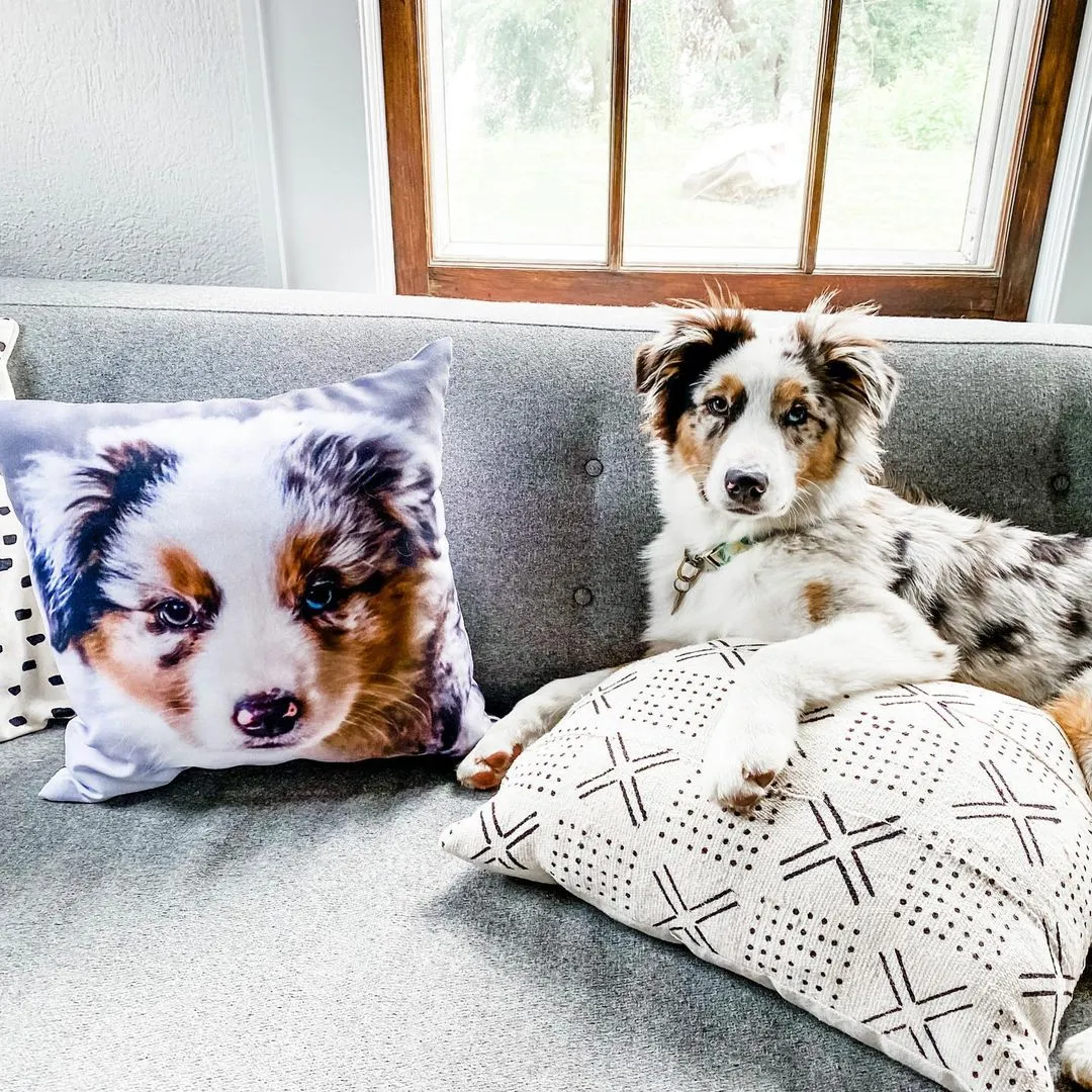 Custom Pet Stuffed Animals, Personalized Pet Gifts | Petsies