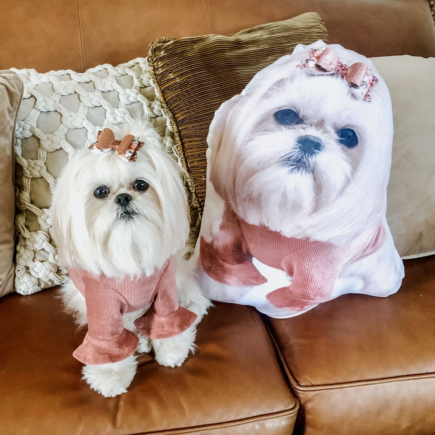 Custom Pet Pillows, Personalize Pet Pillow | Petsies
