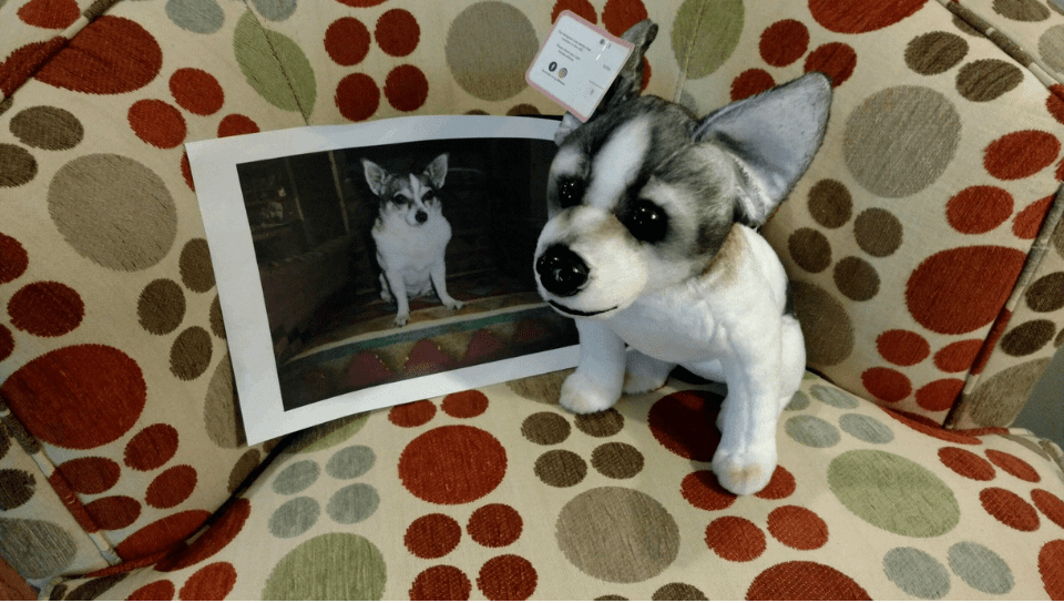 Pet Stuffed Animals for Dementia Patients | Petsies