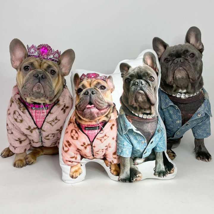 Custom Pet Pillows, Personalize Pet Pillow | Petsies
