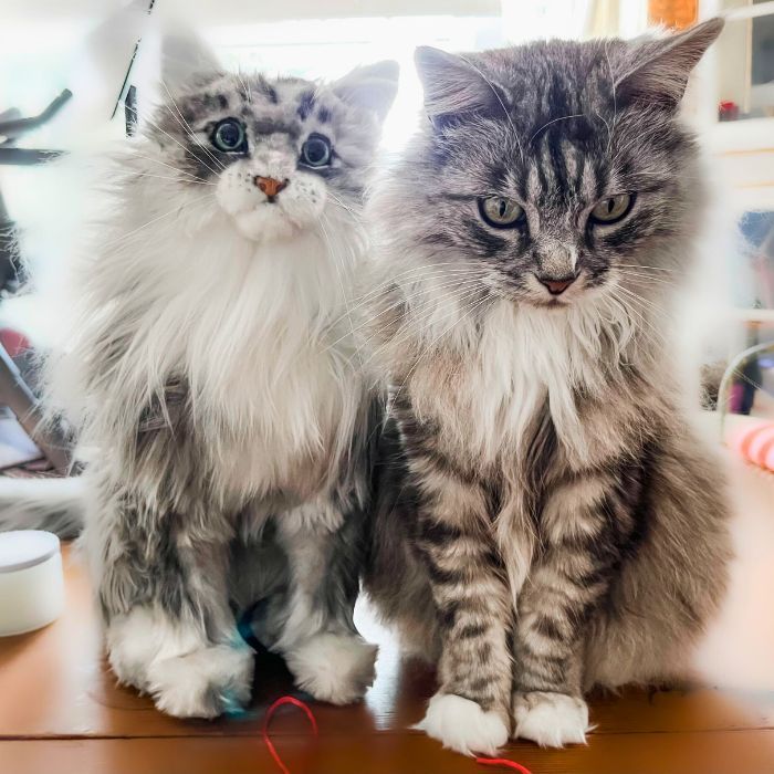 Make a Custom Stuffed Animal of Your Cat | Petsies