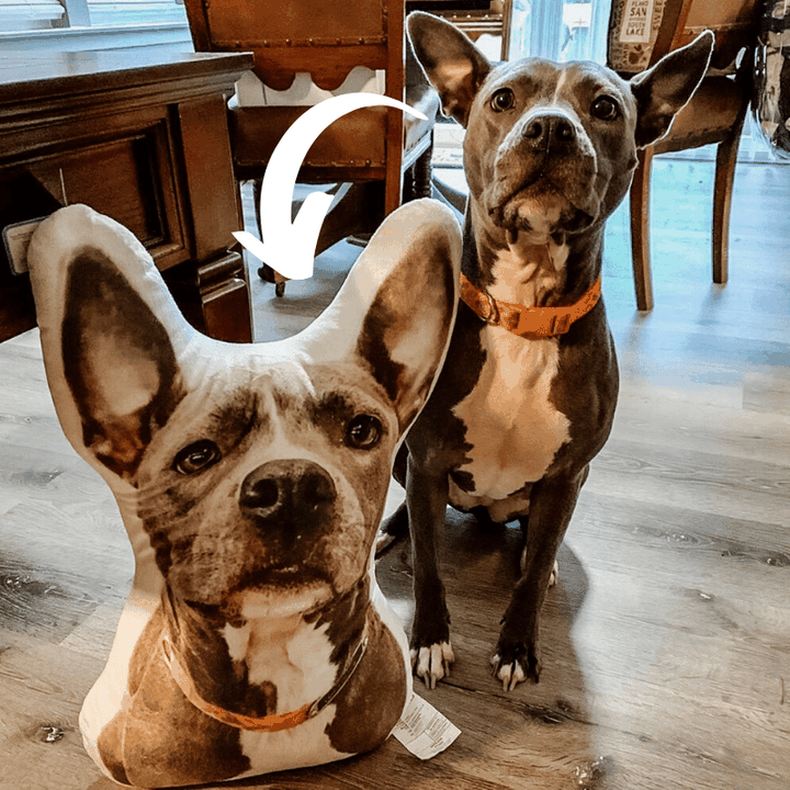 Petsies Custom Stuffed Animals of Pets | Budsies