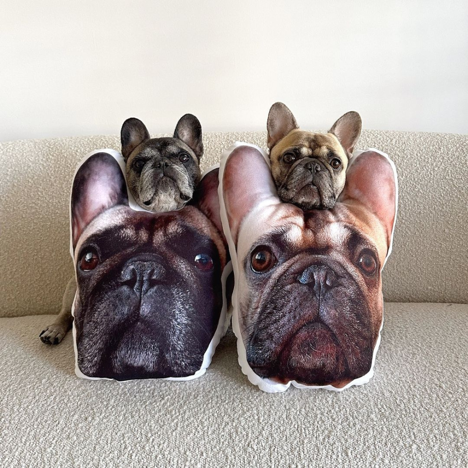 Custom Pet Pillows, Personalize Pet Pillow | Petsies
