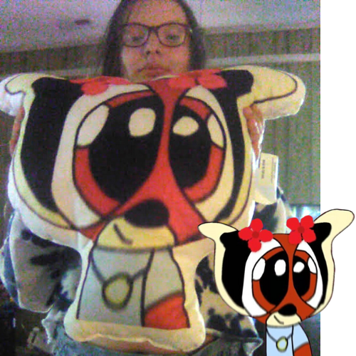 Character Pillows, OC Pillows | Budsies