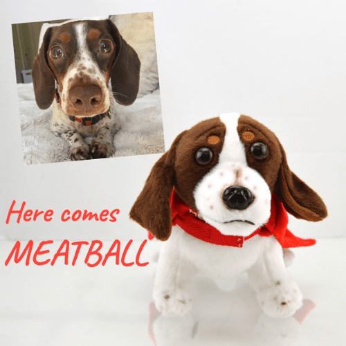 Custom Stuffed Animals of Your Pets | Stuffed Animal Pros